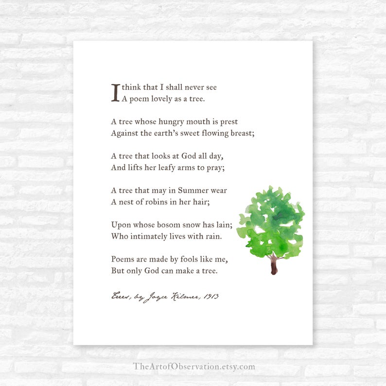 On: Trees – the world according to channie